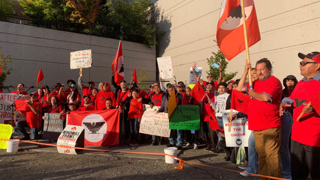 Support for Windmill workers mushrooms