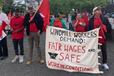 Support for Windmill workers mushrooms